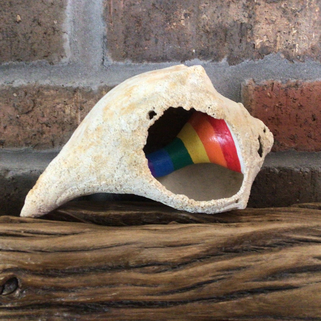 Pride Shell, Coastal Home Decor, Garden Ornament, Florida Art, Beach ...