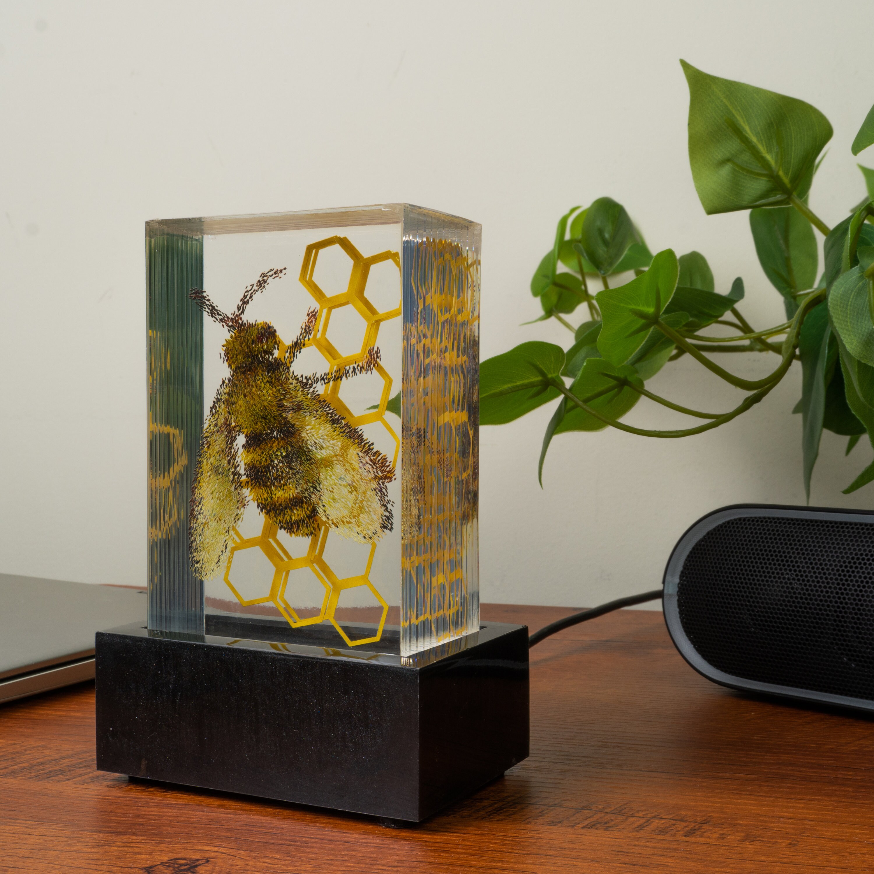 Honey Bee Resin Shelf Lamp for Bee Keepers Unique Nature Layered Epoxy ...