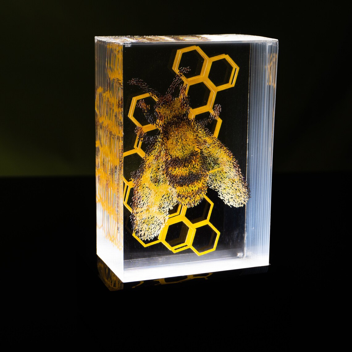 Honey Bee Resin Shelf Lamp for Bee Keepers Unique Nature Layered Epoxy ...