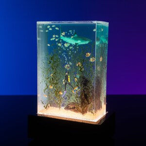Diver Hiding From Sharks in Kelp Forest Resin Light Desktop Size Ocean ...