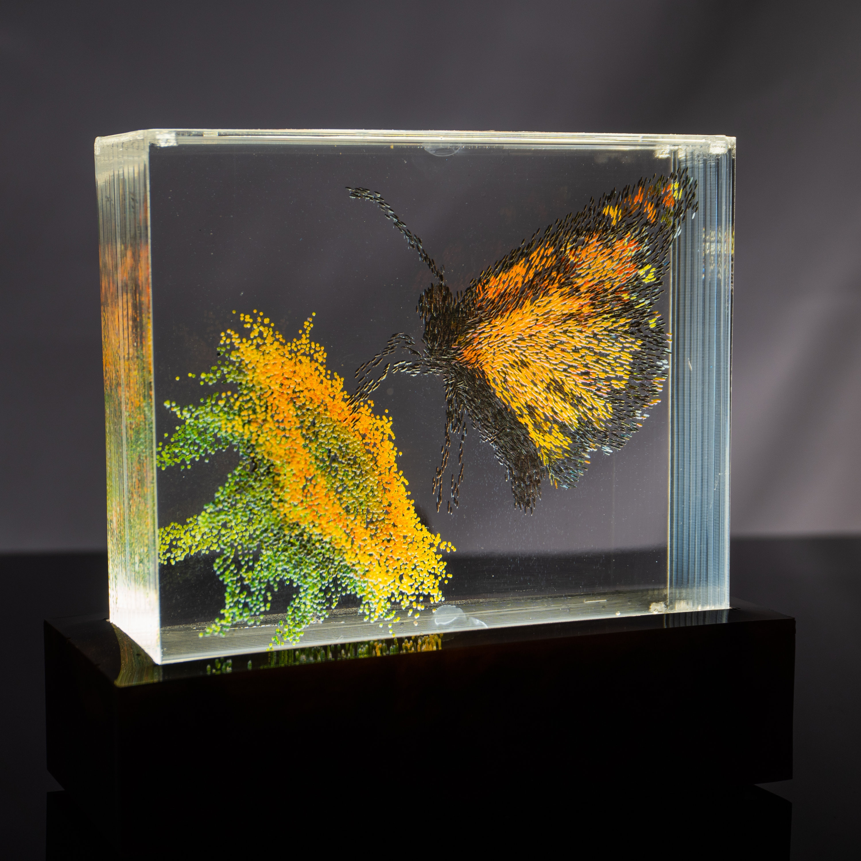 Monarch Butterfly on Sunflower Desktop Resin Lamp 10 Layer Acrylic ...