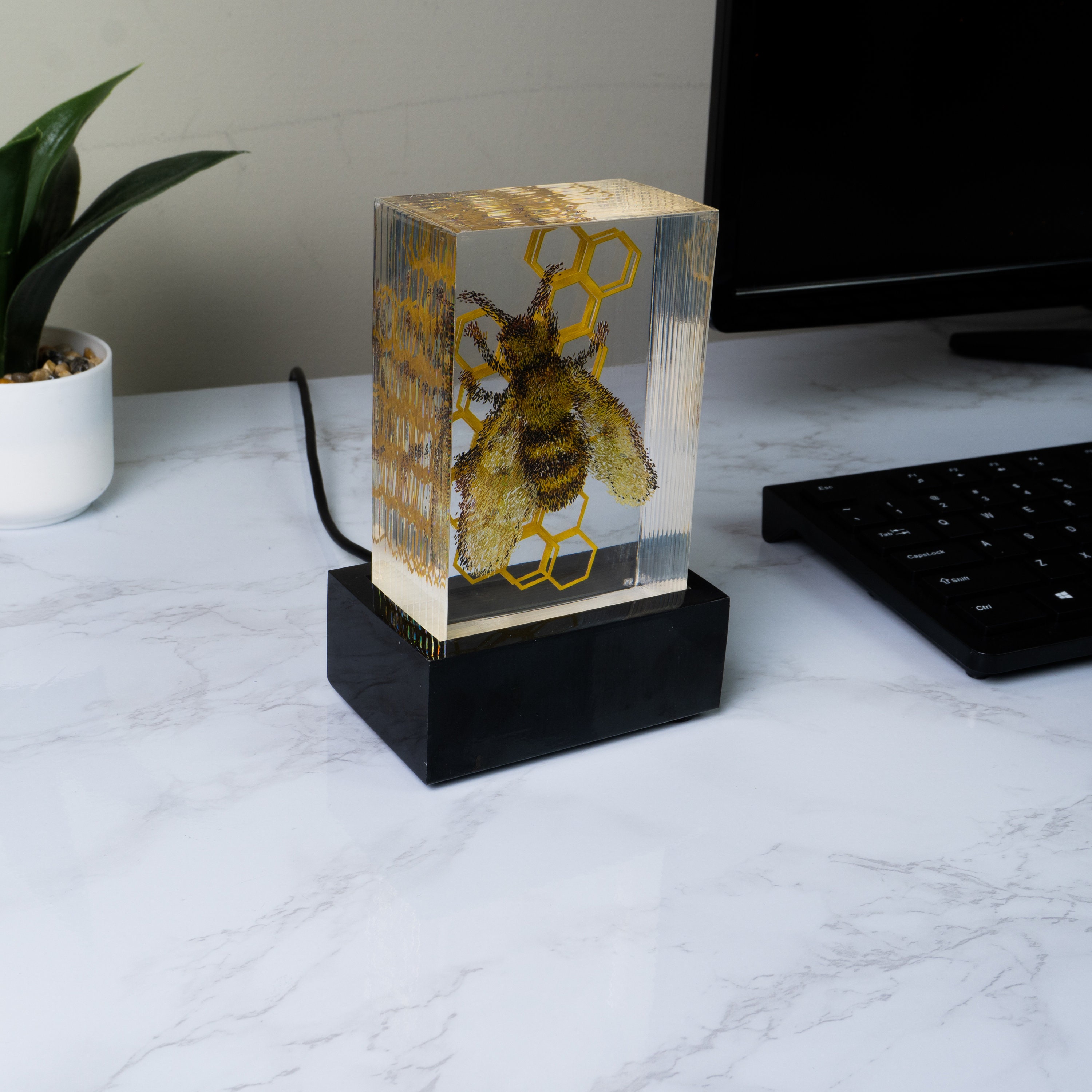 Honey Bee Resin Shelf Lamp for Bee Keepers Unique Nature Layered Epoxy ...