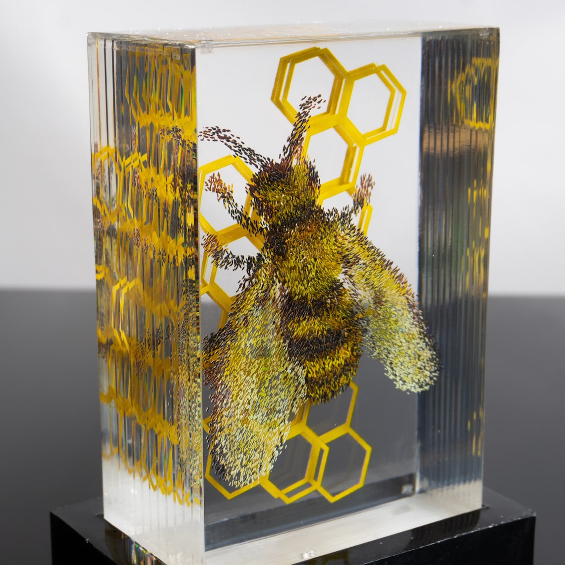 Honey Bee Resin Shelf Lamp for Bee Keepers Unique Nature Layered Epoxy ...