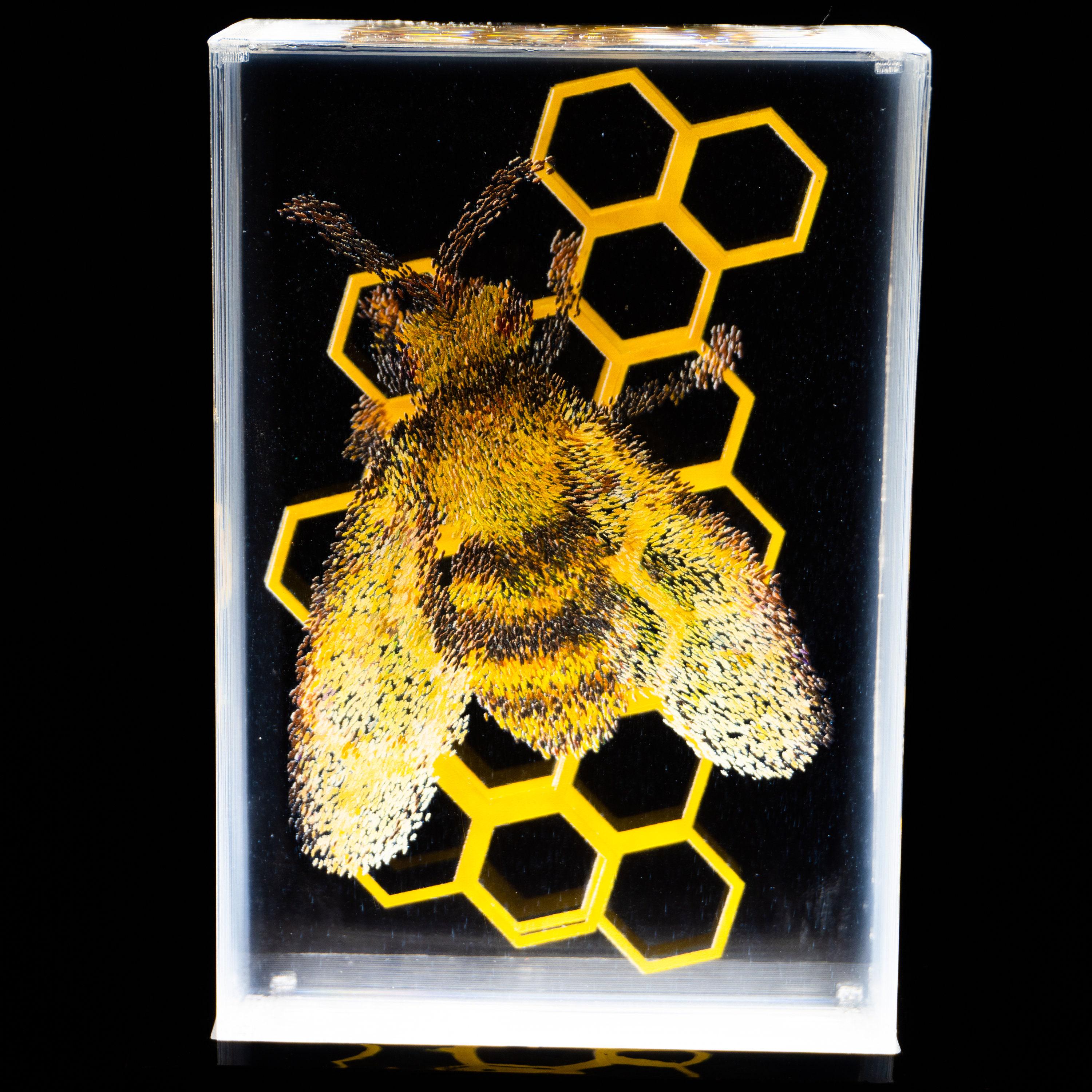 Honey Bee Resin Lamp for Bee Keepers - Unique Bug Desk Sculpture - Etsy
