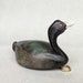 Hand Carved, American Coot Decoy Pair - Etsy
