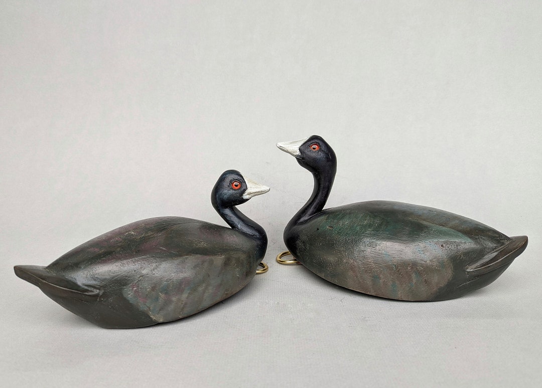 Hand Carved, American Coot Decoy Pair - Etsy