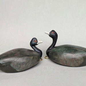 Hand Carved, American Coot Decoy Pair - Etsy