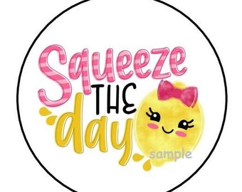 Squeeze the Day Stickers - Etsy