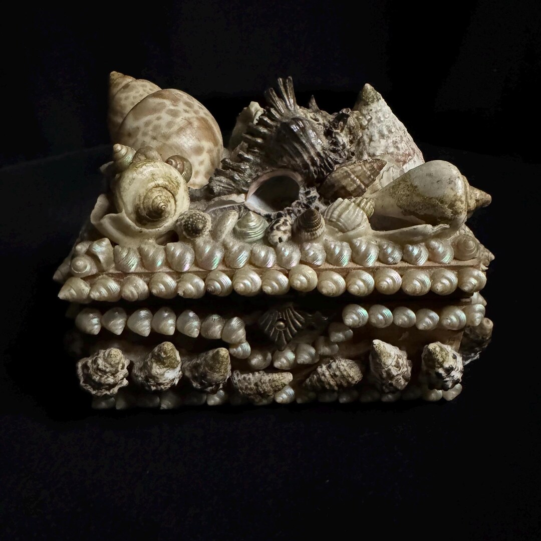 French Antique Seashell Art Trinket Box. Antique Seashell Art Jewellery ...