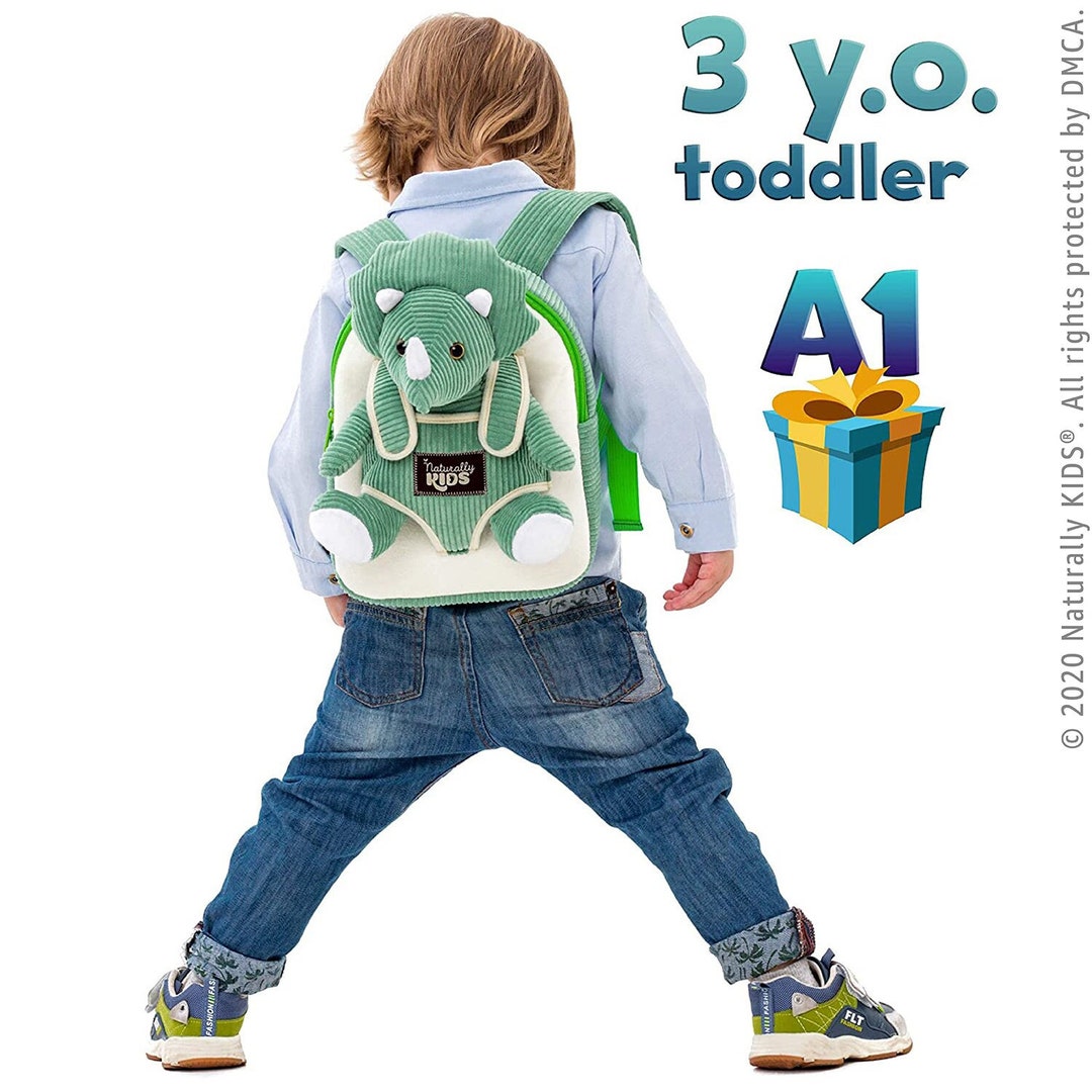 Toddler Backpack Preschool Kids Dinosaur Backpack & GREEN Triceratops ...
