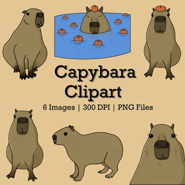 Cute Capybara Clipart - Etsy