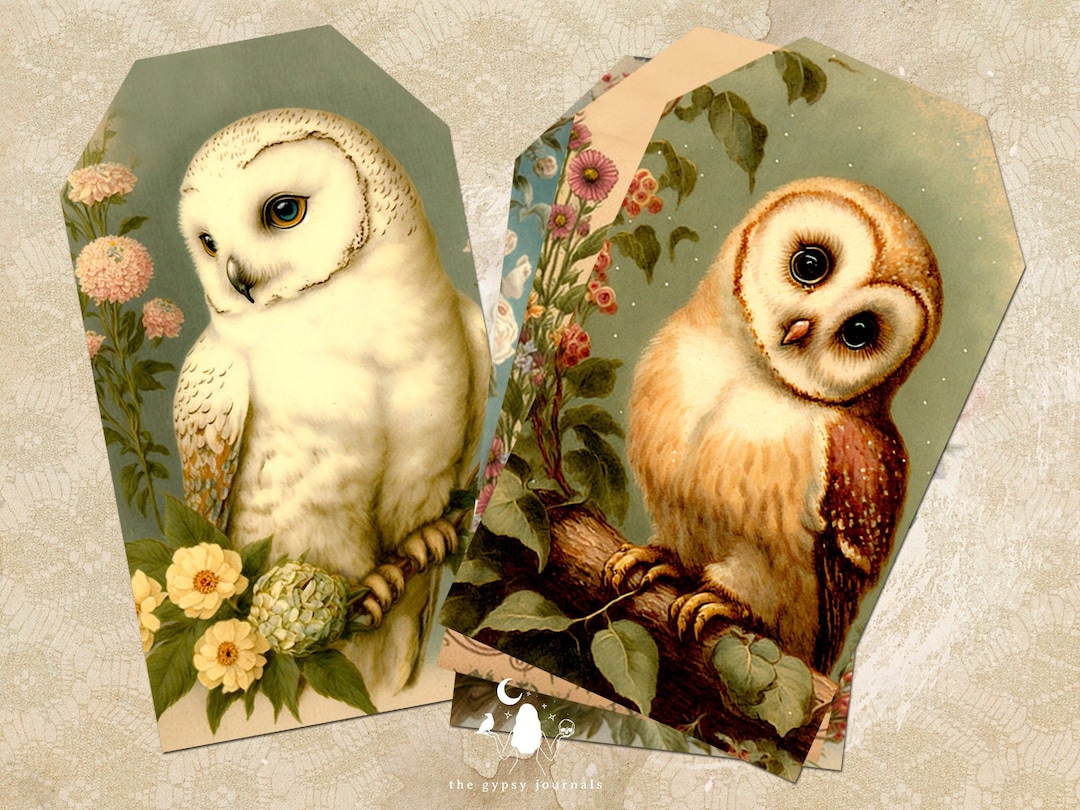Vintage Baby Owl Tags, Owl Journaling Tags, Birds Printable Inserts and ...