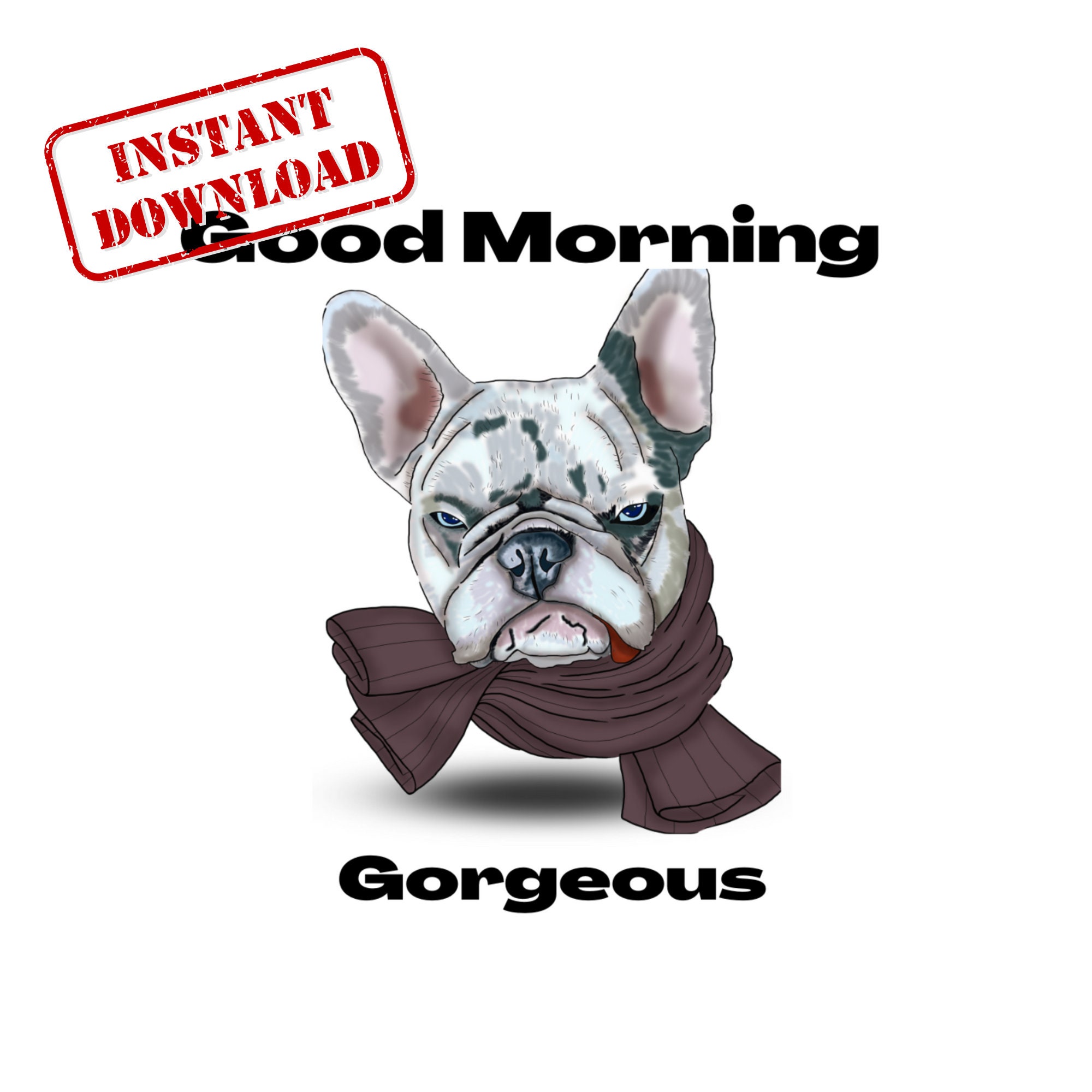 Good Morning Bulldog