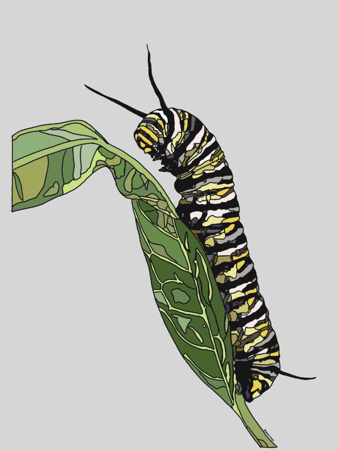 Caterpillar Art, Digital Download, Caterpillar Drawing - Etsy