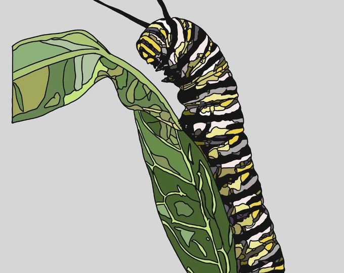 Raupe, Raupe Illustration, Tier Aquarell, Kinderzimmer Dekor ...