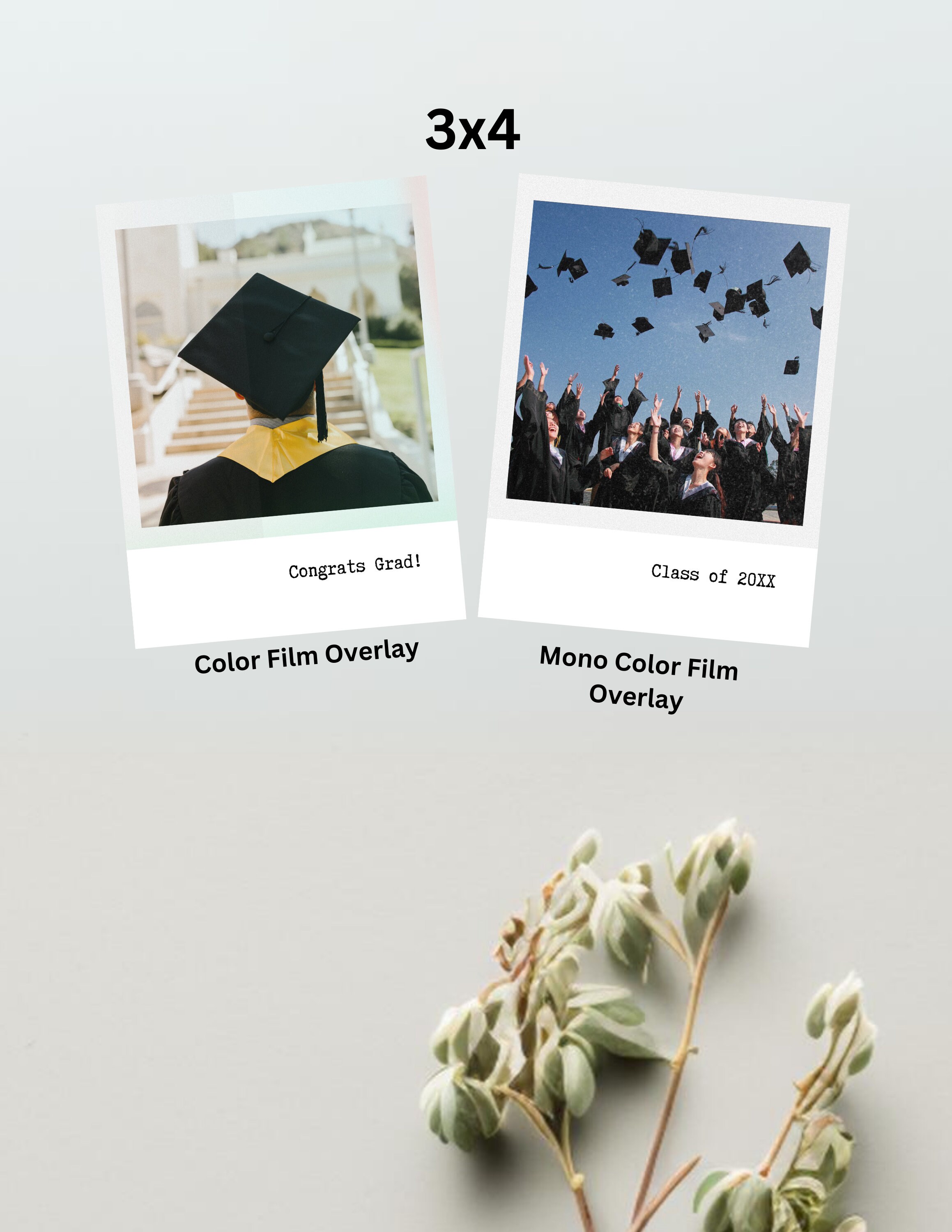 Graduation Photo Digital Template, 2x3.5, 3x4, Custom Photo Template ...