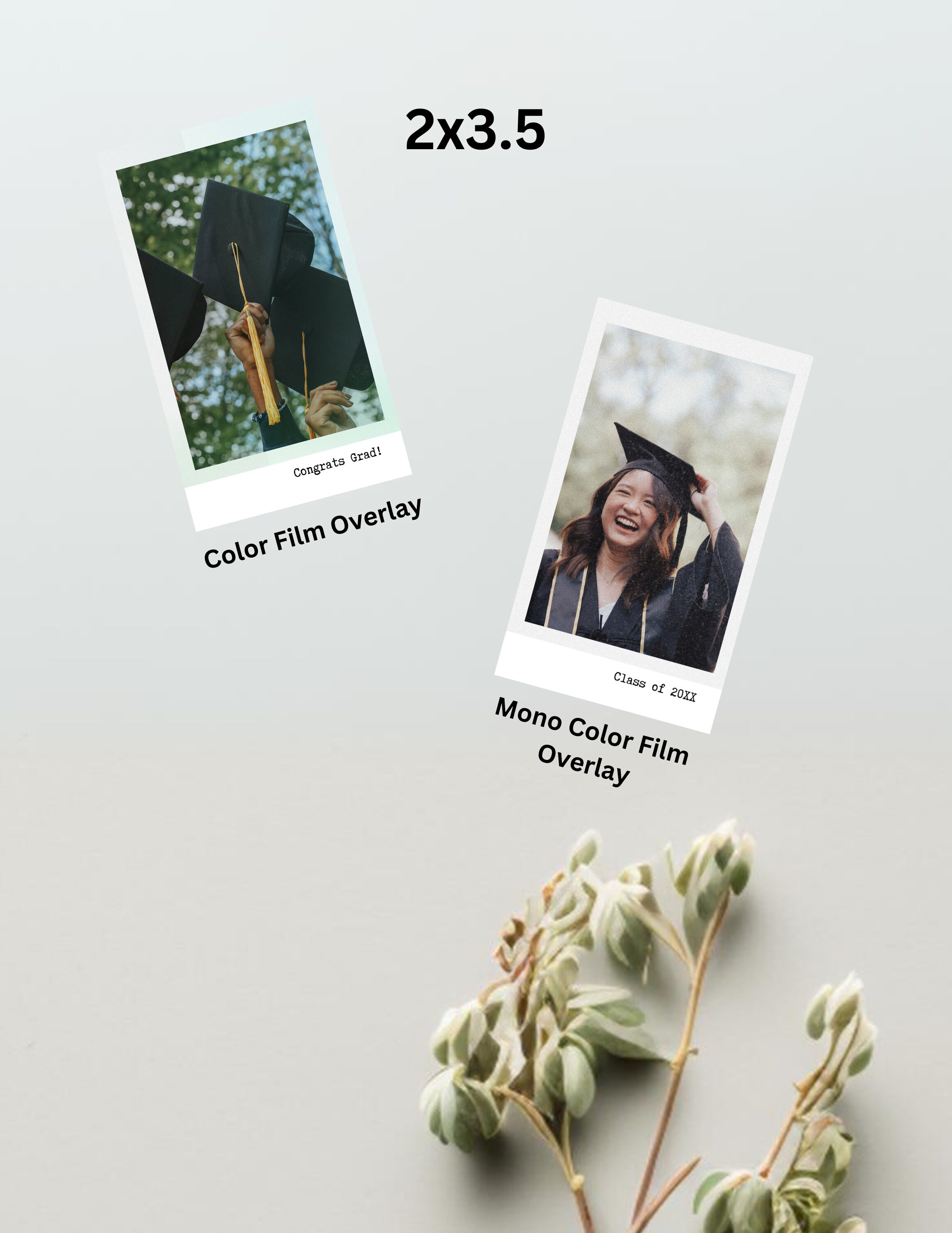 Graduation Photo Digital Template, 2x3.5, 3x4, Custom Photo Template ...