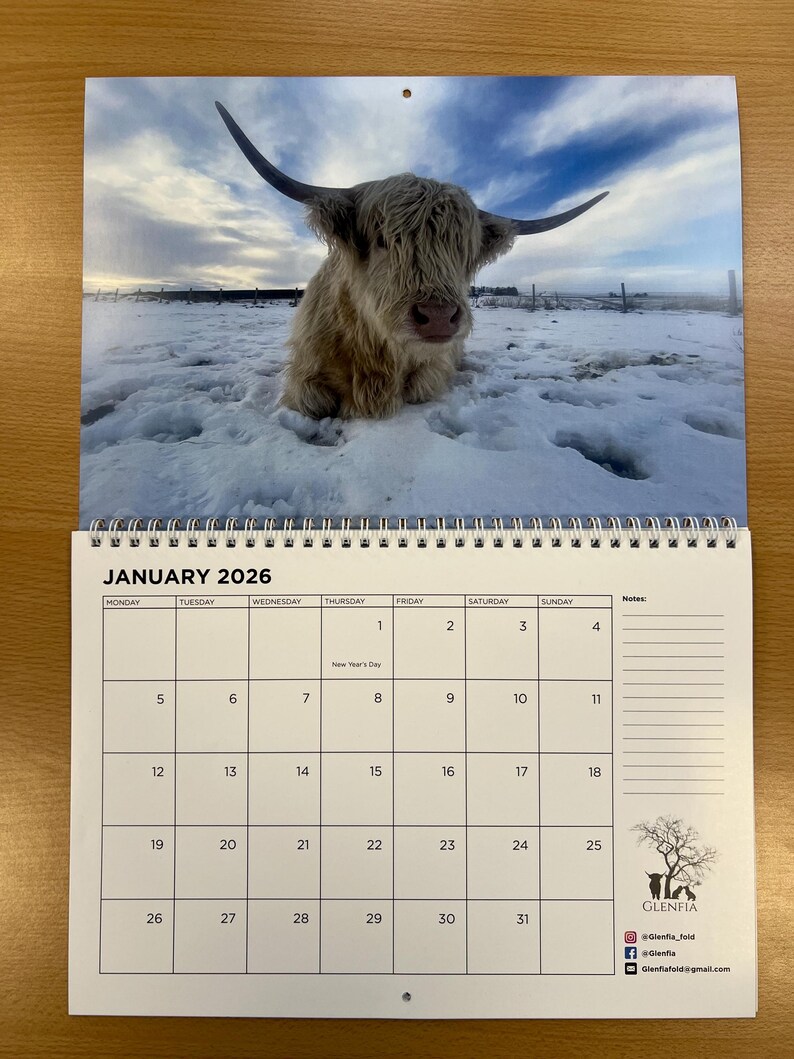 2026 Scottish Highland Cow Calendar - Etsy
