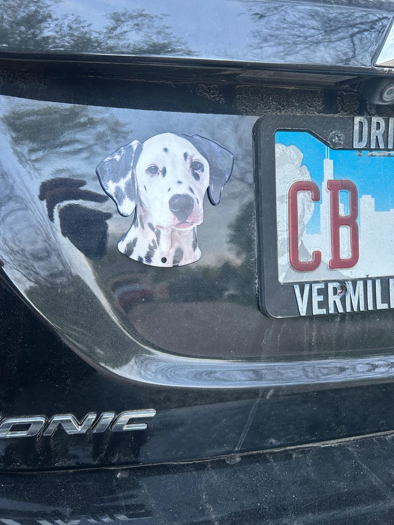 Custom Steel Dog Magnets - Etsy