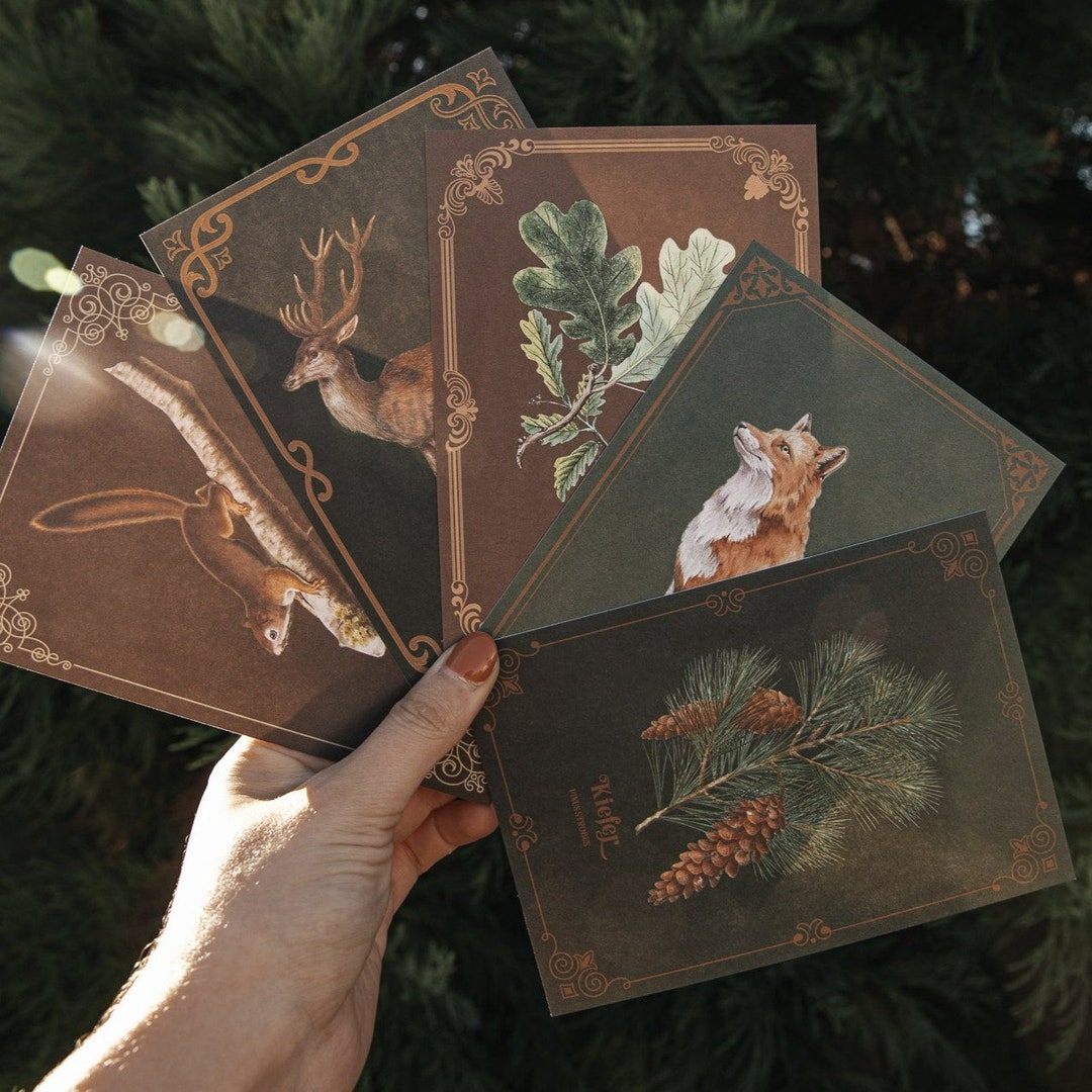 Postcard Set Forest 5 Postcards - Fox Squirrel Oak Pine Deer - Etsy