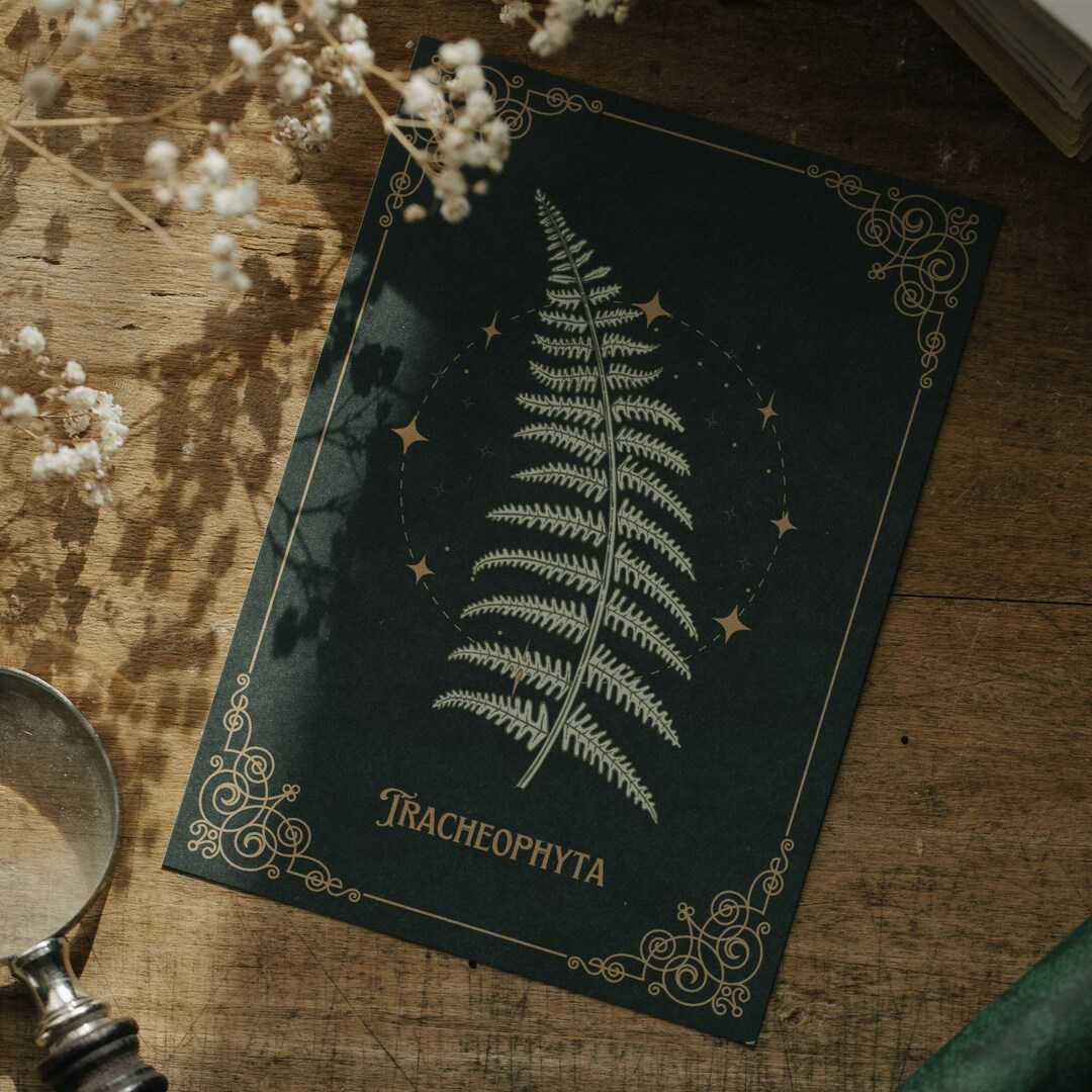 Postcard Mystic Fern Cottagecore - Etsy