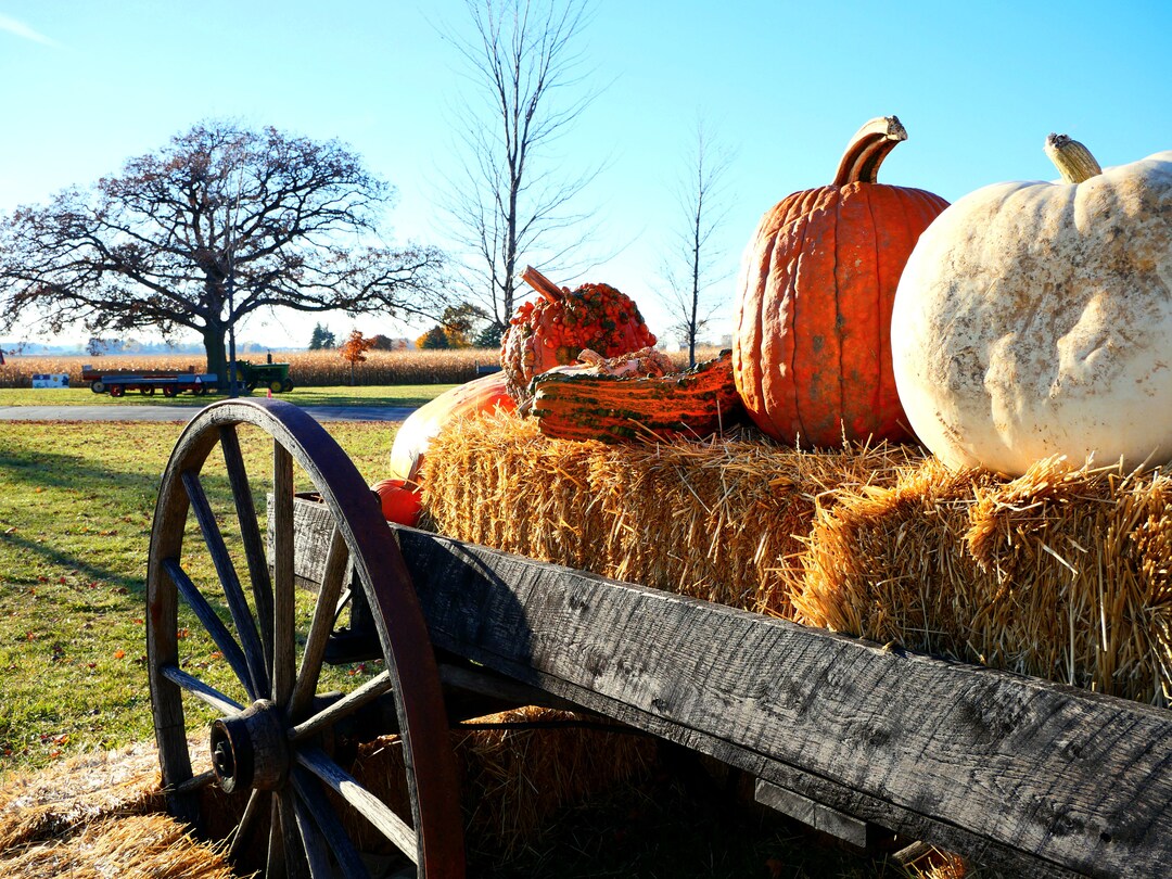 Fall Pumpkin and Wagon Digital Photo - Etsy