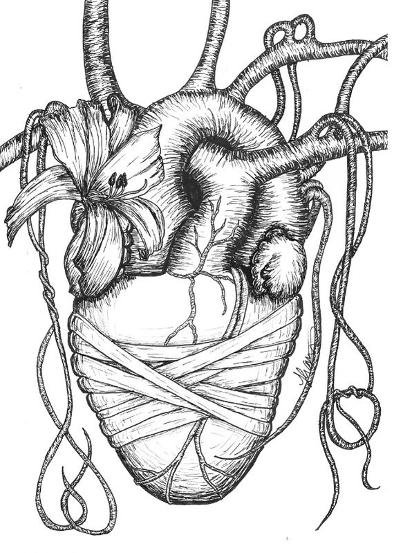 Sketches Of A Healed Heart