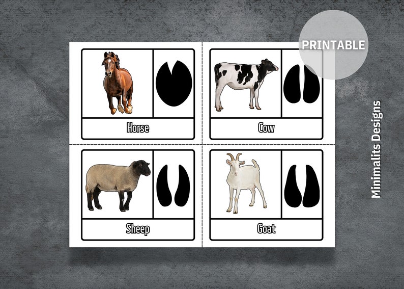 Animals Footprints Flash Cards, Preschool Flashcards, Printable ...