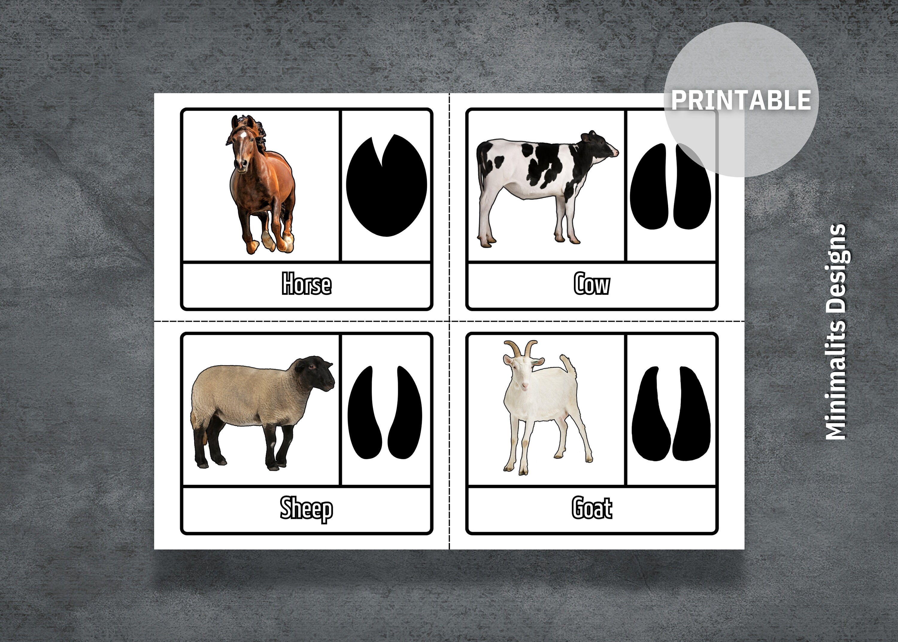 Animals Footprints Flash Cards, Preschool Flashcards, Printable ...