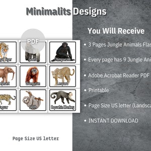 Jungle Animals Flashcards, Preschool Flashcards, Printable Montessori ...