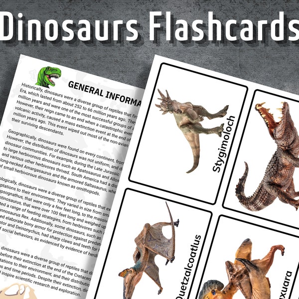 Dinosaur Flash Cards - Etsy