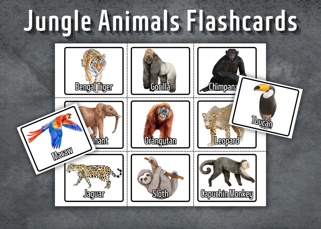 Jungle Animals Flashcards, Preschool Flashcards, Printable Montessori ...