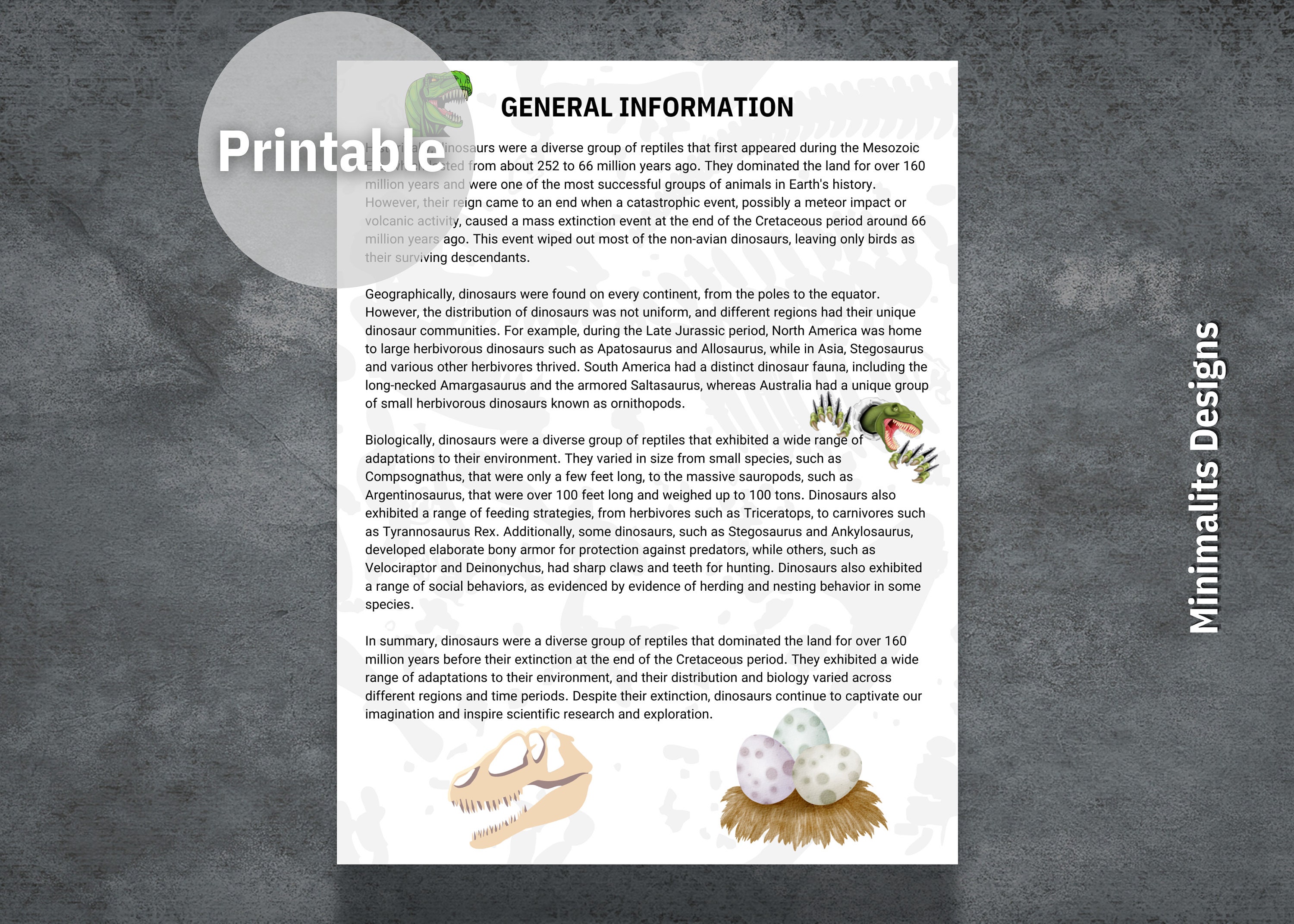 Dinosaurs Flash Cards, Montessori Flash Cards, Printable Cards ...