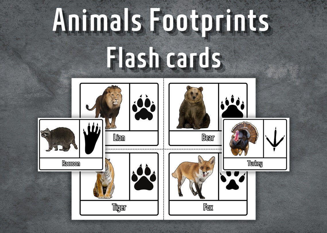 Animals Footprints Flash Cards, Preschool Flashcards, Printable ...