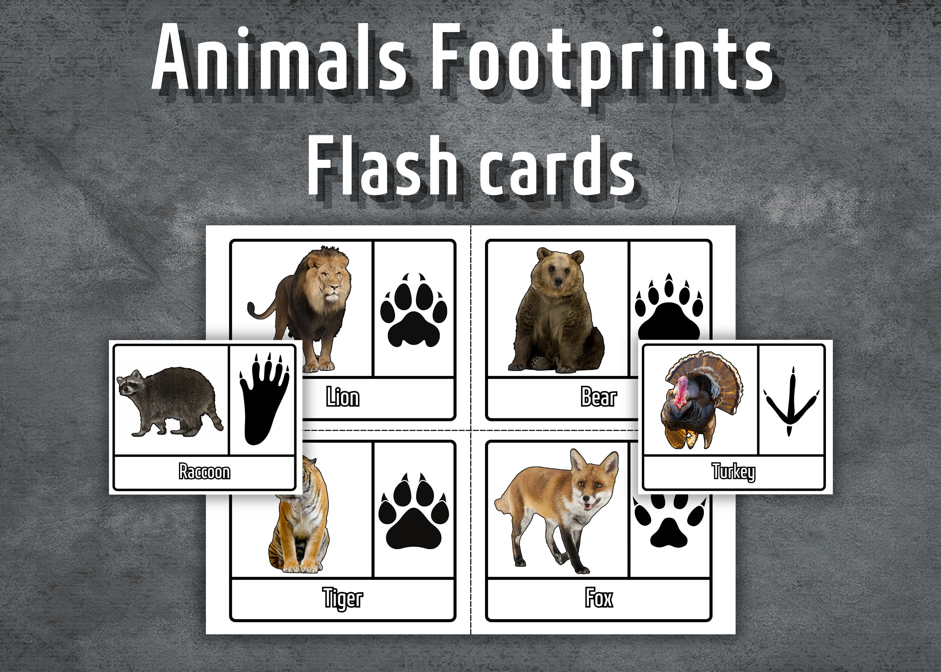 Animals Footprints Flash Cards, Preschool Flashcards, Printable ...