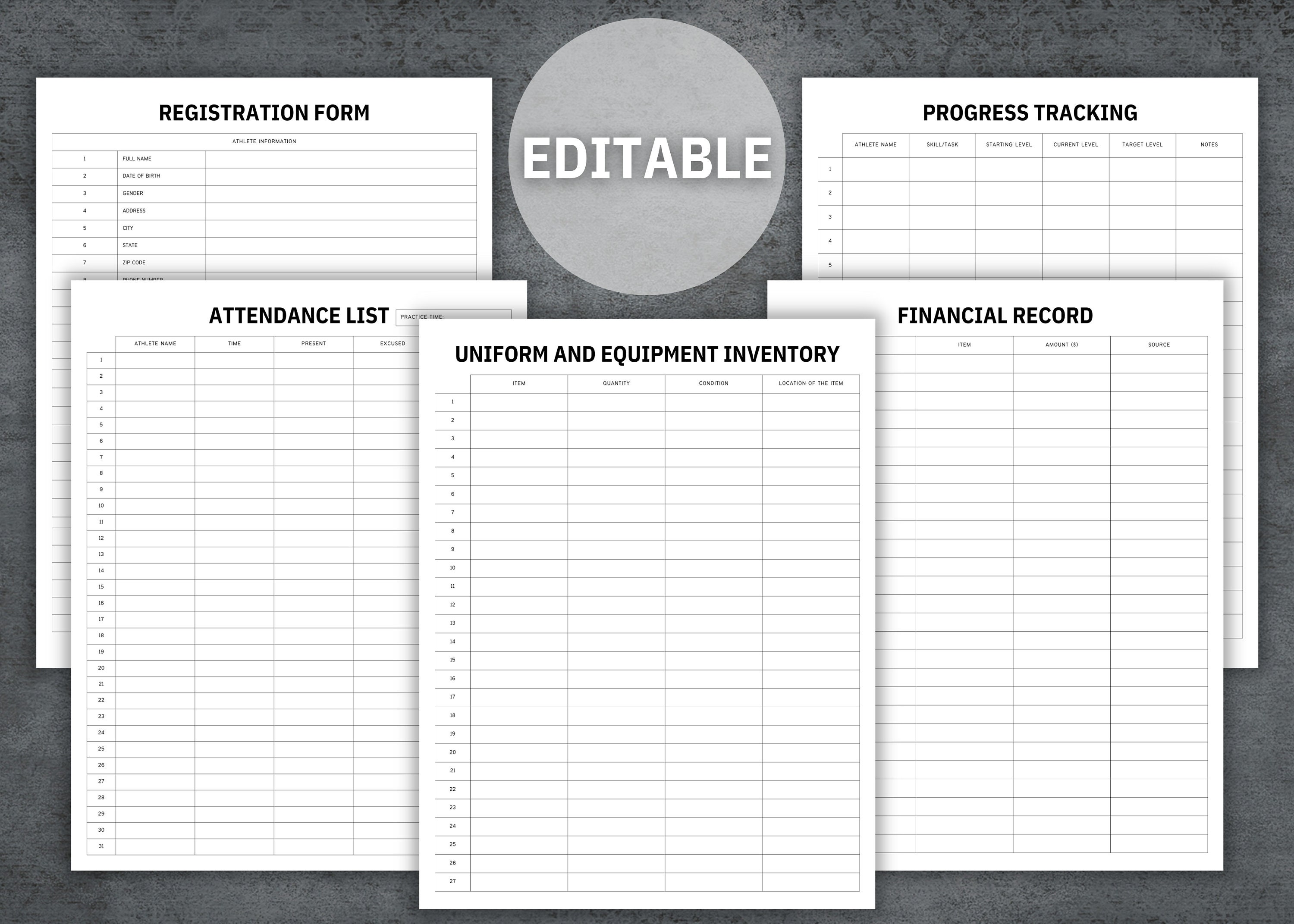 Cheer Coach Planner, Printable Cheer Planner, Cheerleading Squad, Team ...