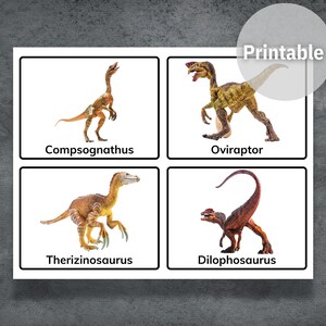 Dinosaurs Flash Cards, Montessori Flash Cards, Printable Cards ...