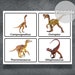 Dinosaurs Flash Cards, Montessori Flash Cards, Printable Cards ...