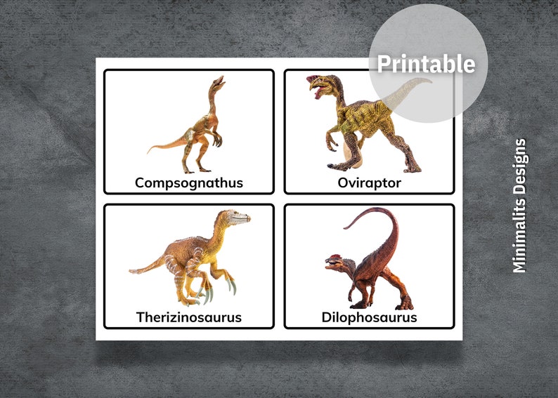 Dinosaurs Flash Cards, Montessori Flash Cards, Printable Cards ...