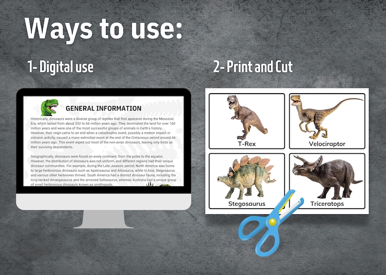 Dinosaurs Flash Cards, Montessori Flash Cards, Printable Cards ...