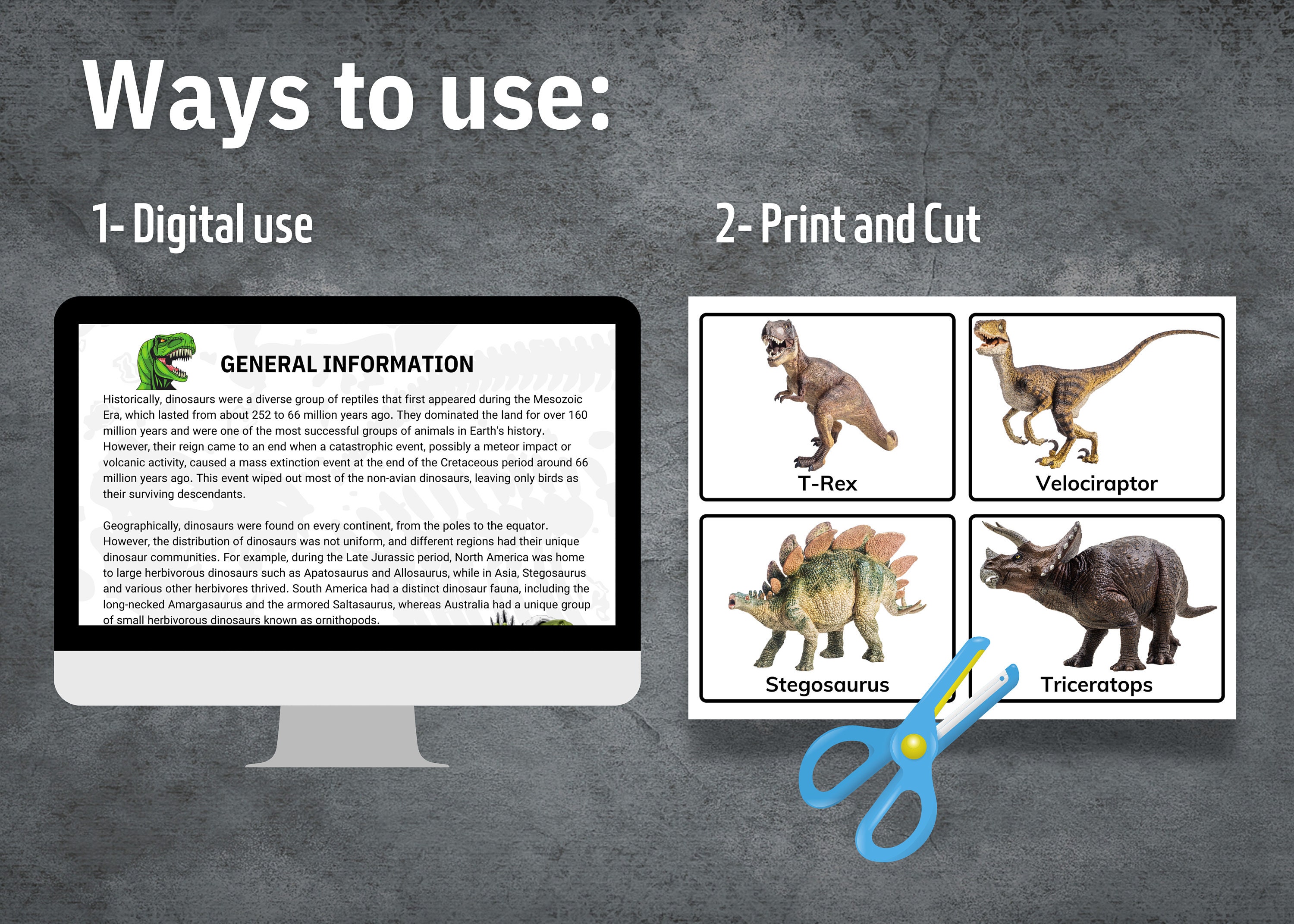 Dinosaurs Flash Cards, Montessori Flash Cards, Printable Cards ...