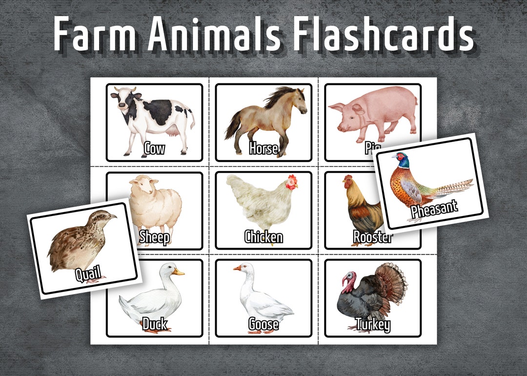 Farm Animals Flashcards, Preschool Flashcards, Printable Montessori ...