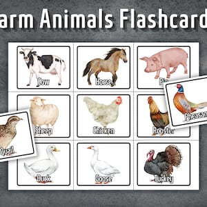 Farm Animals Flashcards, Preschool Flashcards, Printable Montessori ...