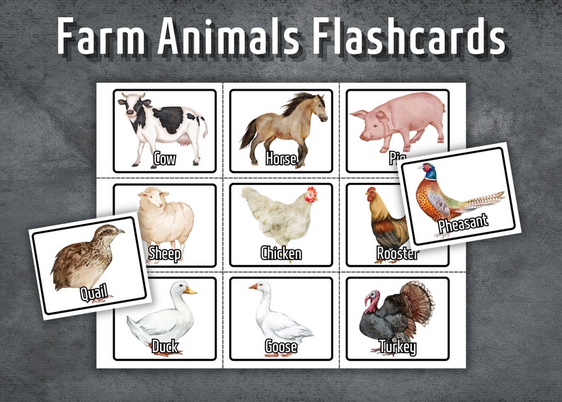 Farm Animals Flashcards, Preschool Flashcards, Printable Montessori ...