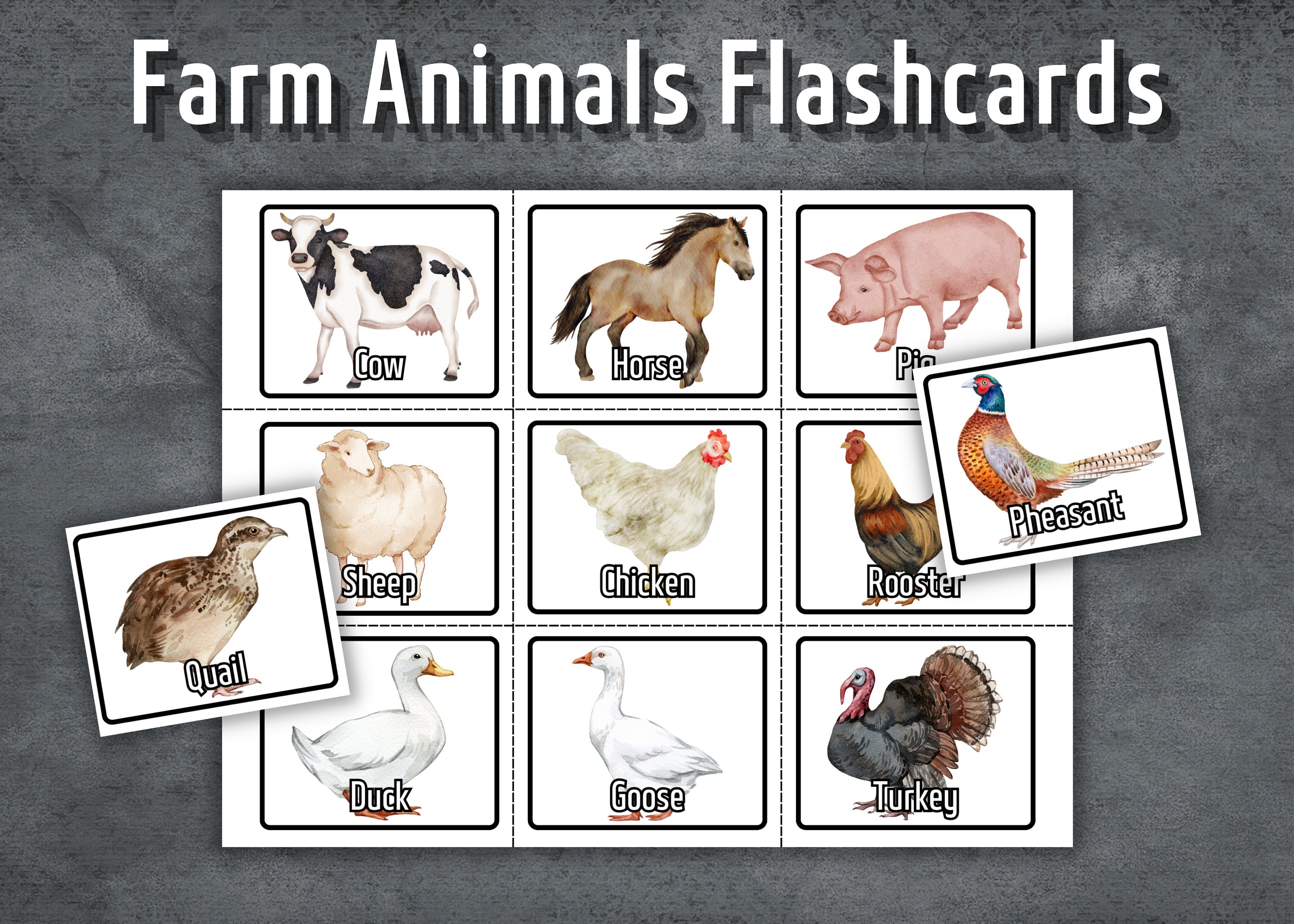 Farm Animals Flashcards, Preschool Flashcards, Printable Montessori ...