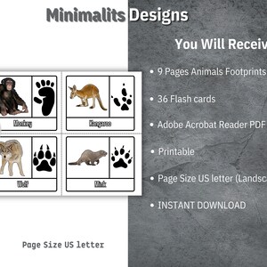 Animals Footprints Flash Cards, Preschool Flashcards, Printable ...