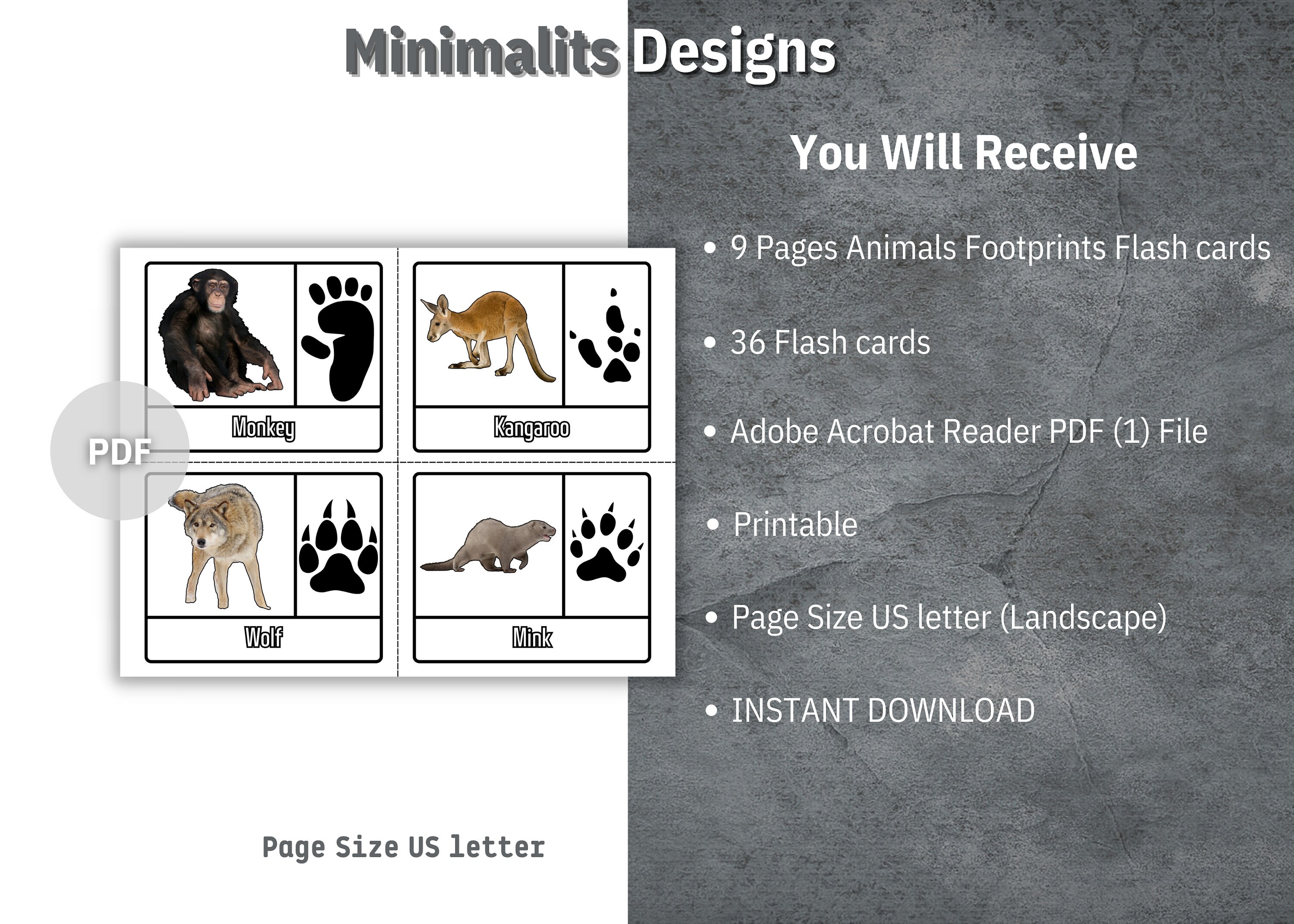 Animals Footprints Flash Cards, Preschool Flashcards, Printable ...