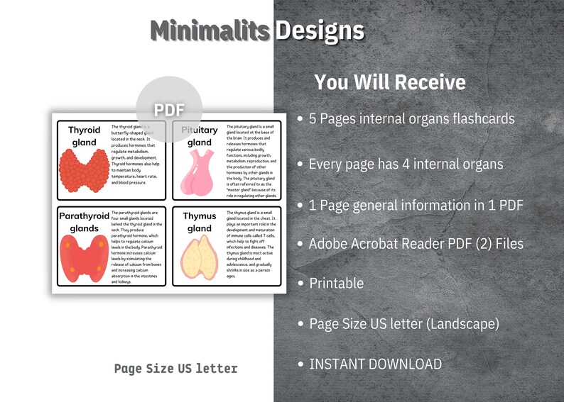 Internal Organs Flash Cards, Printable Human Organs Cards, Preschool ...