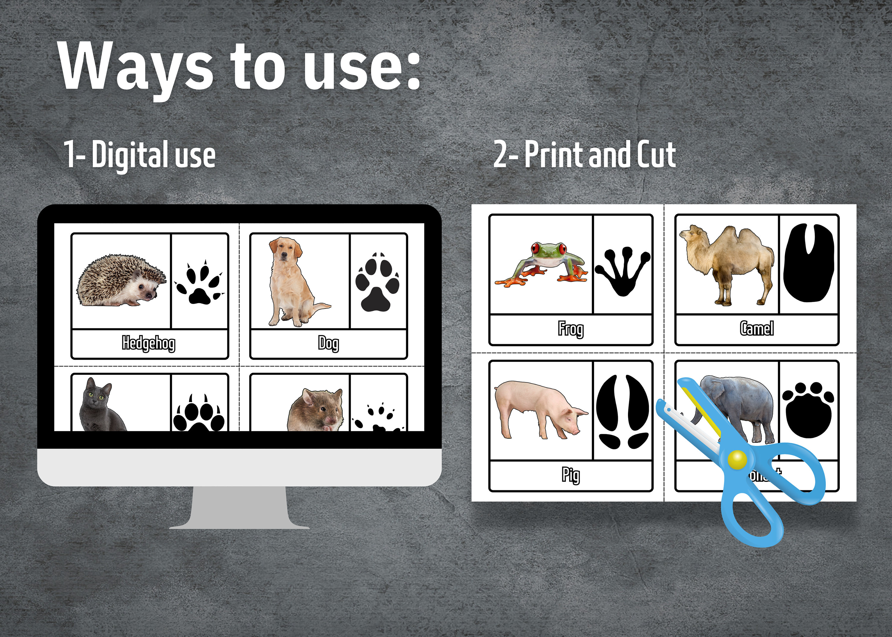 Animals Footprints Flash Cards, Preschool Flashcards, Printable ...