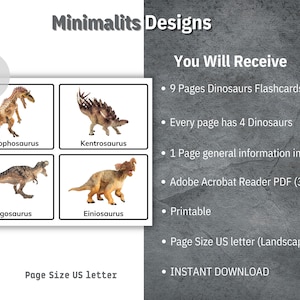 Dinosaurs Flash Cards, Montessori Flash Cards, Printable Cards ...